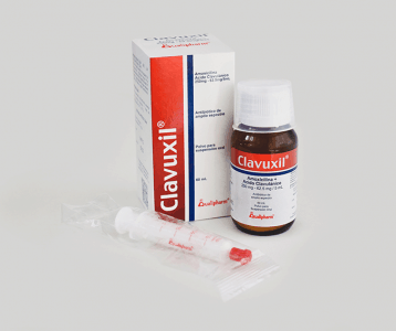 Cefina suspensión - Qualipharm